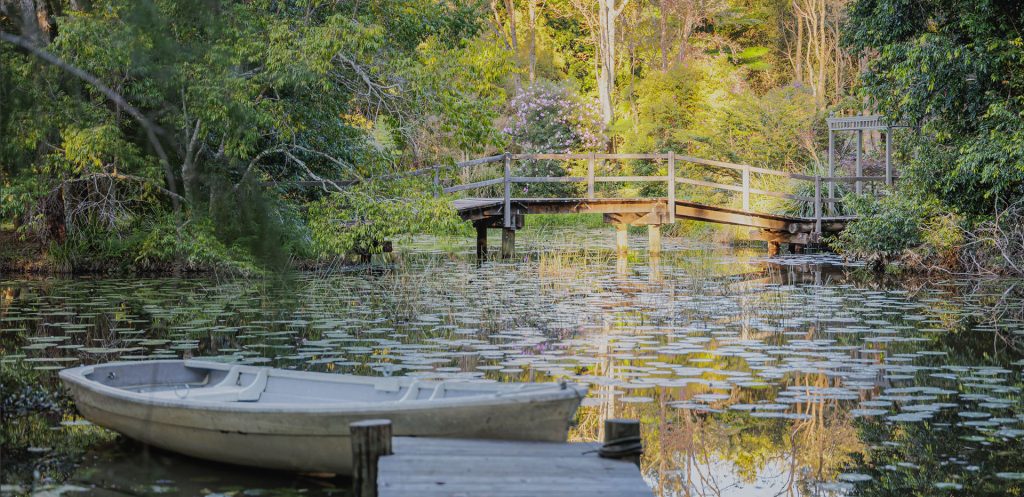 Luxury Accommodation Bellingen | Lilypad Cabins NSW